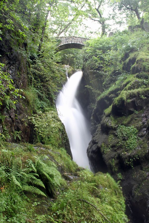 Waterfall – The Inkwell