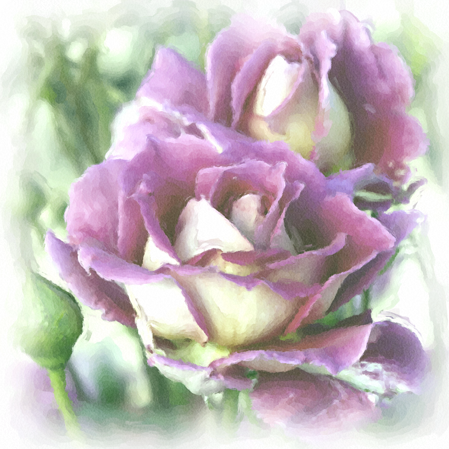 Mauvelous – The Inkwell