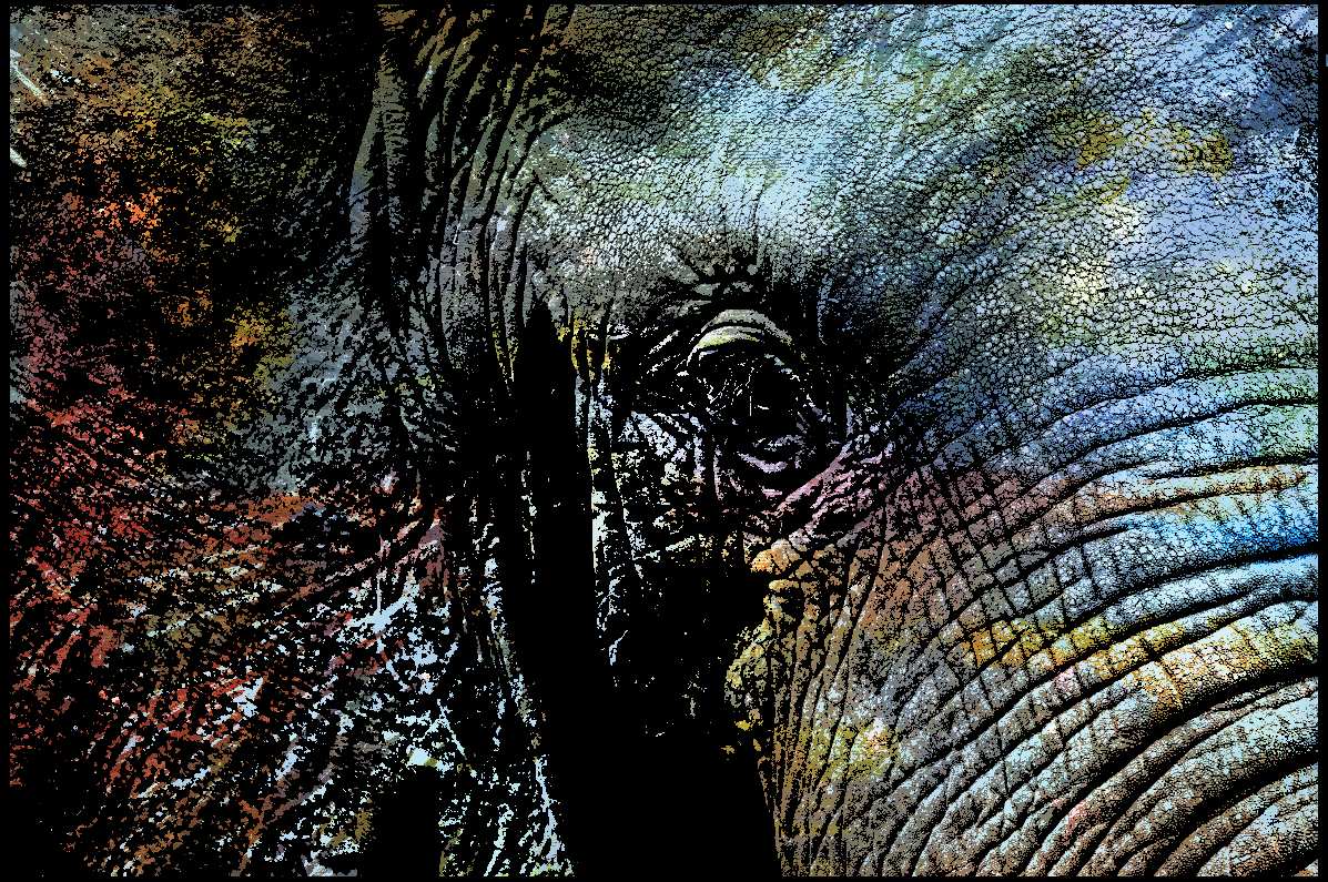 Elephant – The Inkwell